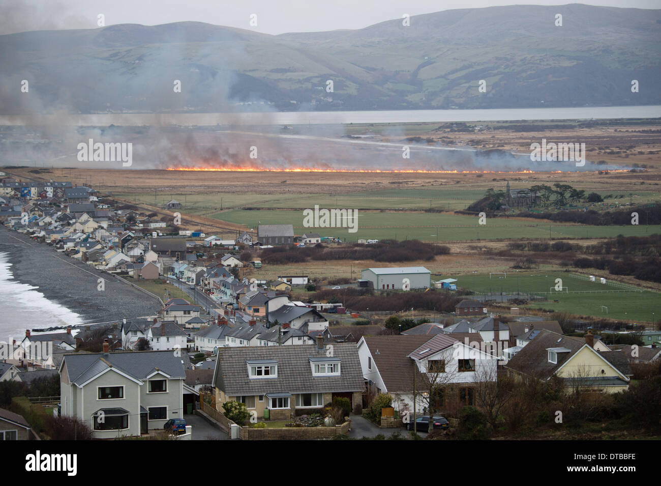 Borth bog marsh fire flames wetlands cors fochno hi-res stock ...