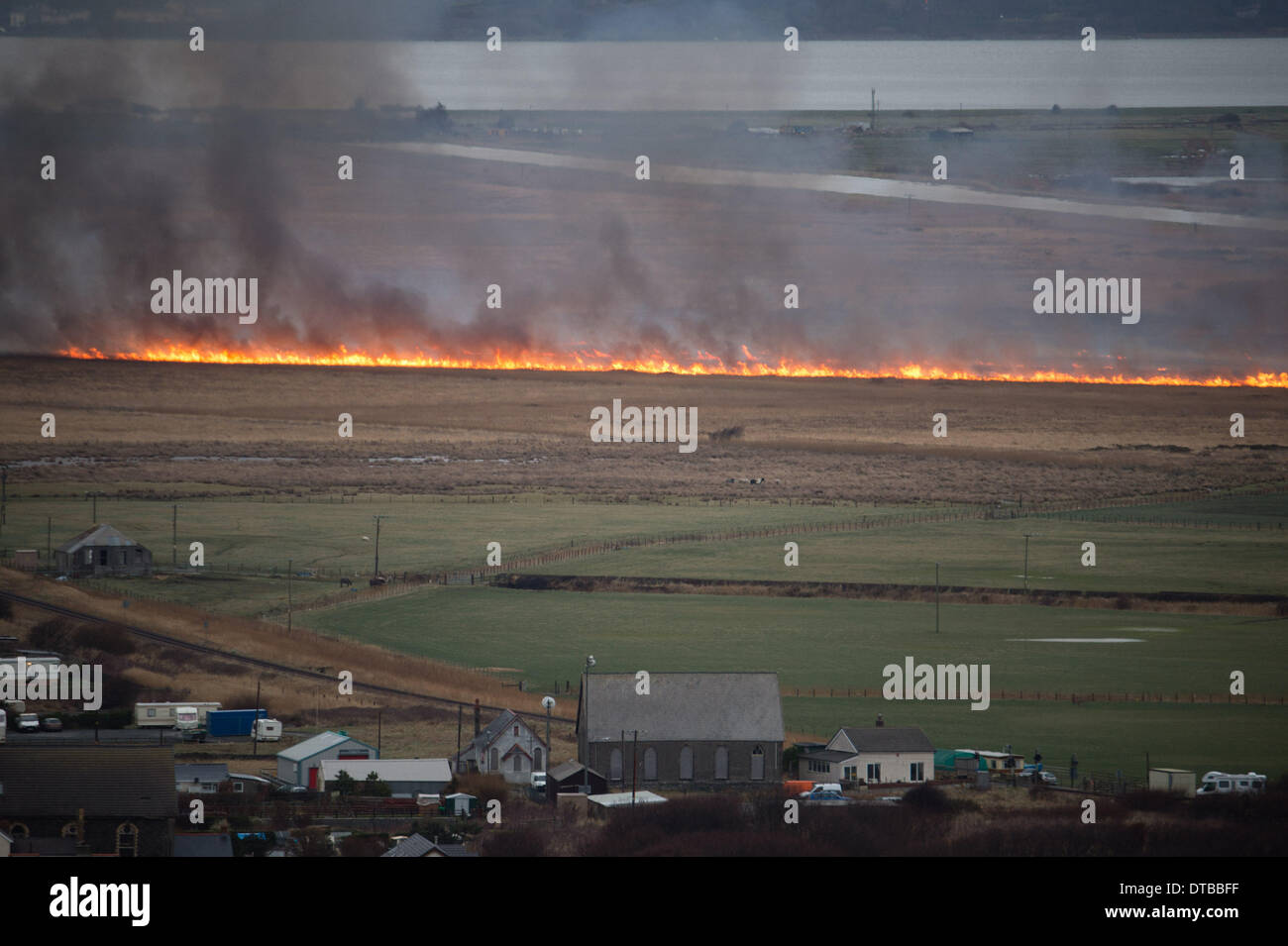 Borth bog marsh fire flames wetlands cors fochno hi-res stock ...