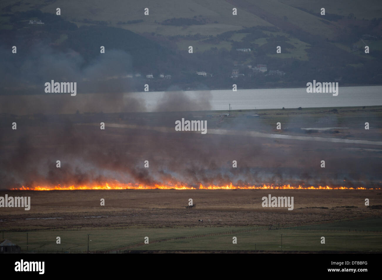 Borth bog marsh fire flames wetlands cors fochno hi-res stock ...