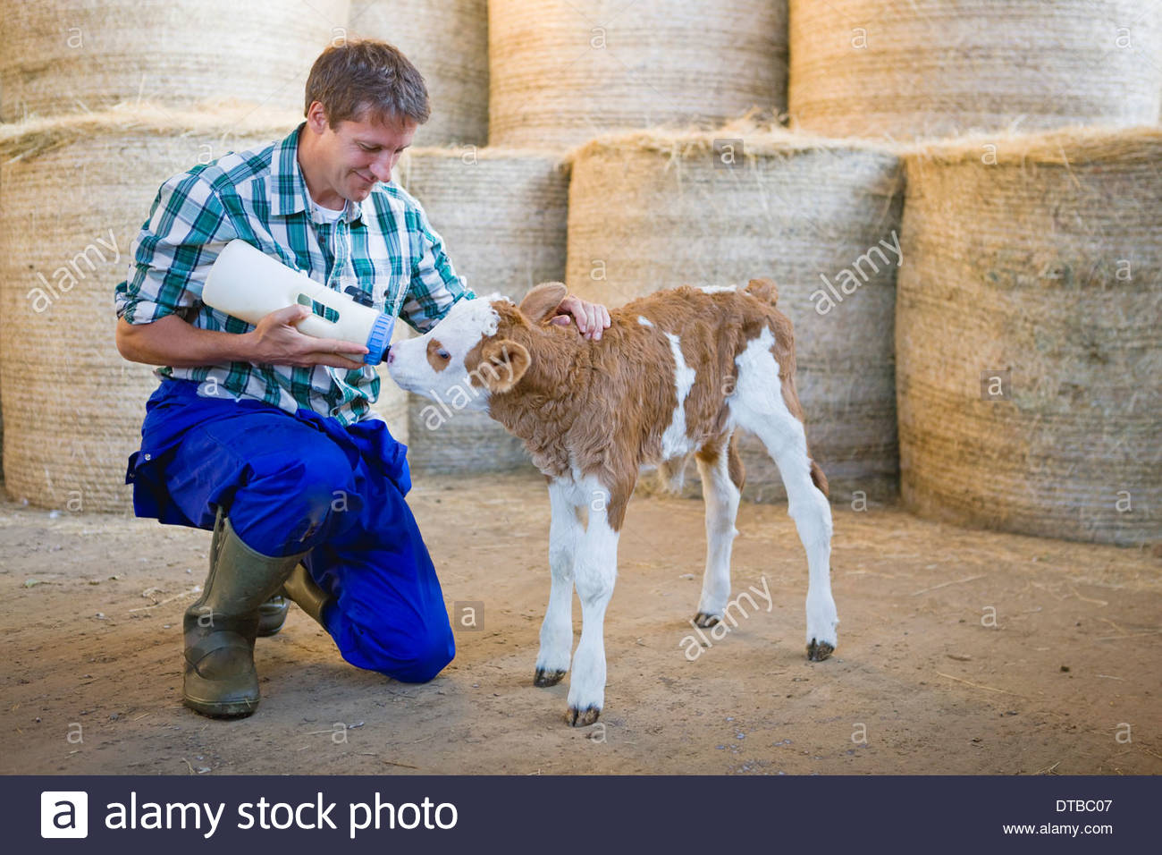 Hand Rearing Stock Photos & Hand Rearing Stock Images - Alamy