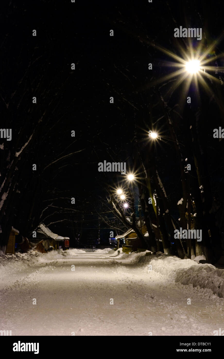 Night park's alley under the snow illuminated Stock Photo - Alamy