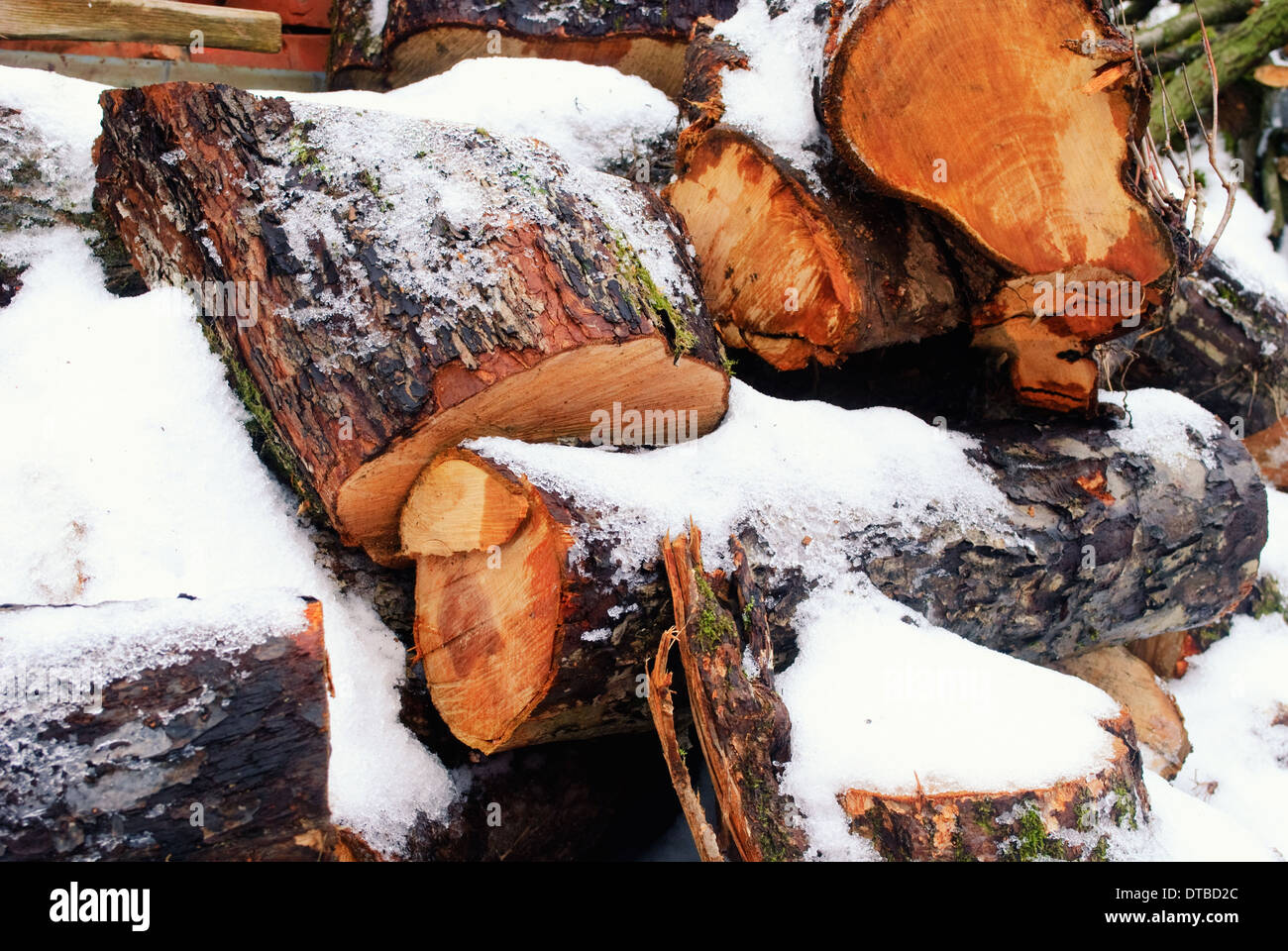 Wood before sawing for firewood under the snow in winter Stock Photo ...