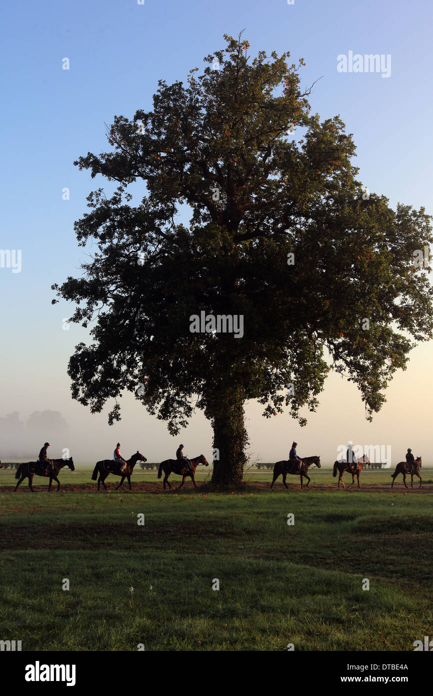 Chantilly horse racing hi-res stock photography and images - Alamy