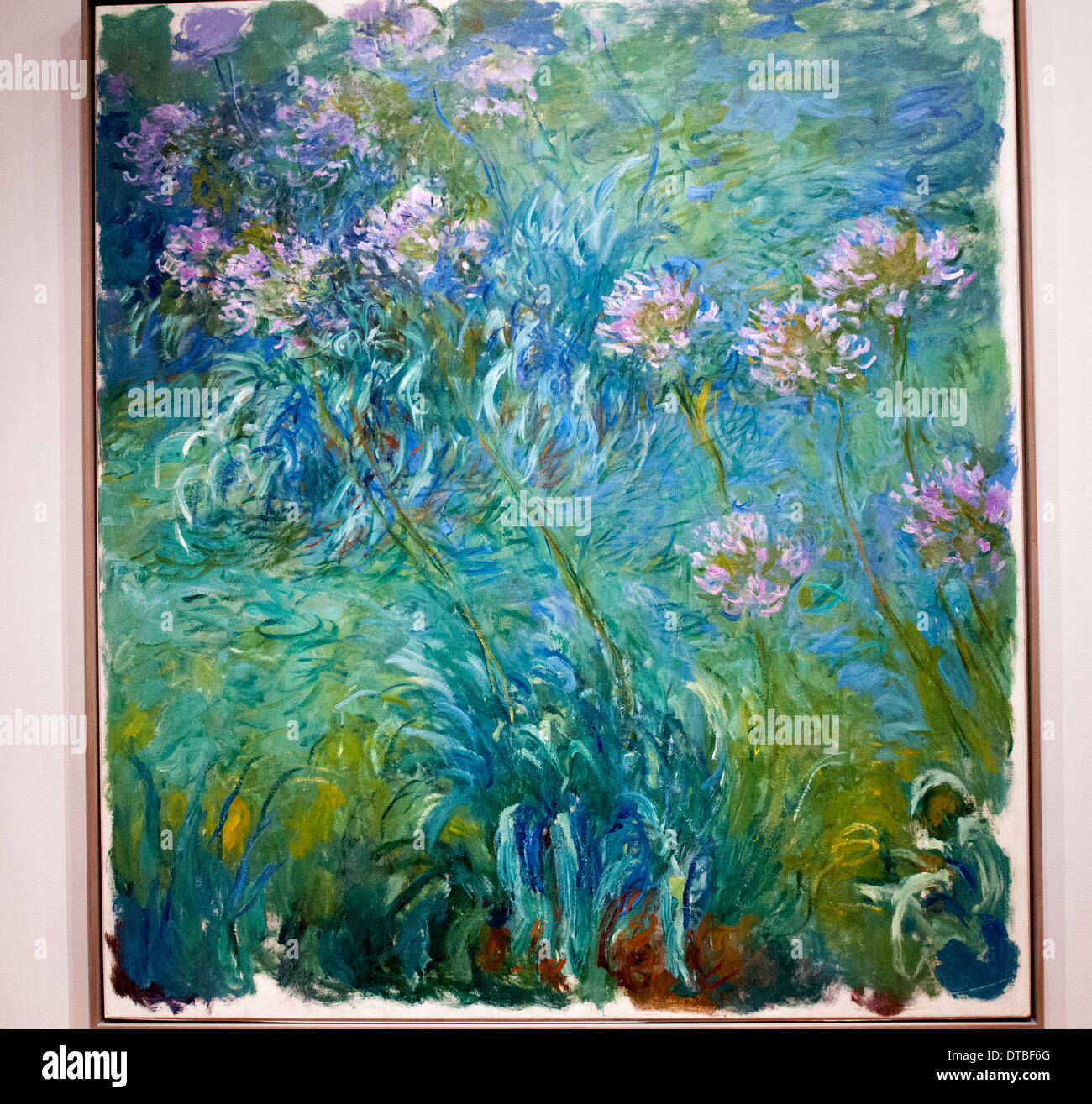 Agapanthus by Claude Monet at the Museum of Modern Art, New York City ...