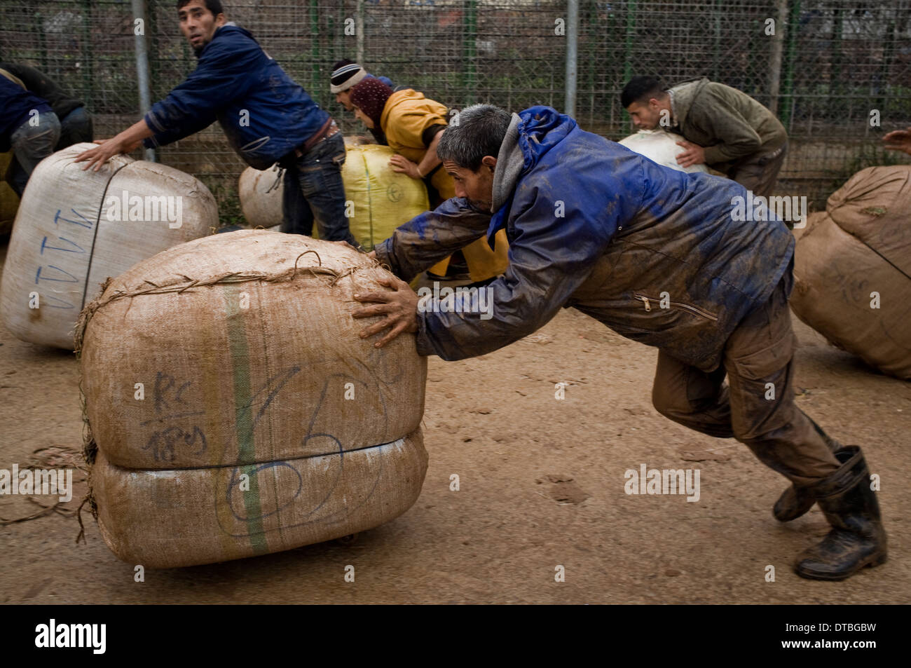 Smuggling in Melilla border. smuggler frontier Spain Morocco Moroccan ...