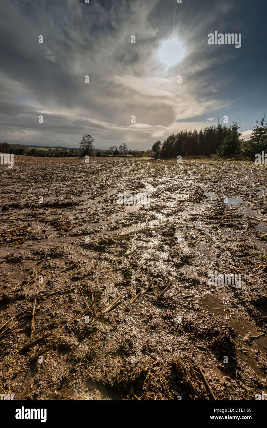Saturated farm land hi-res stock photography and images - Alamy