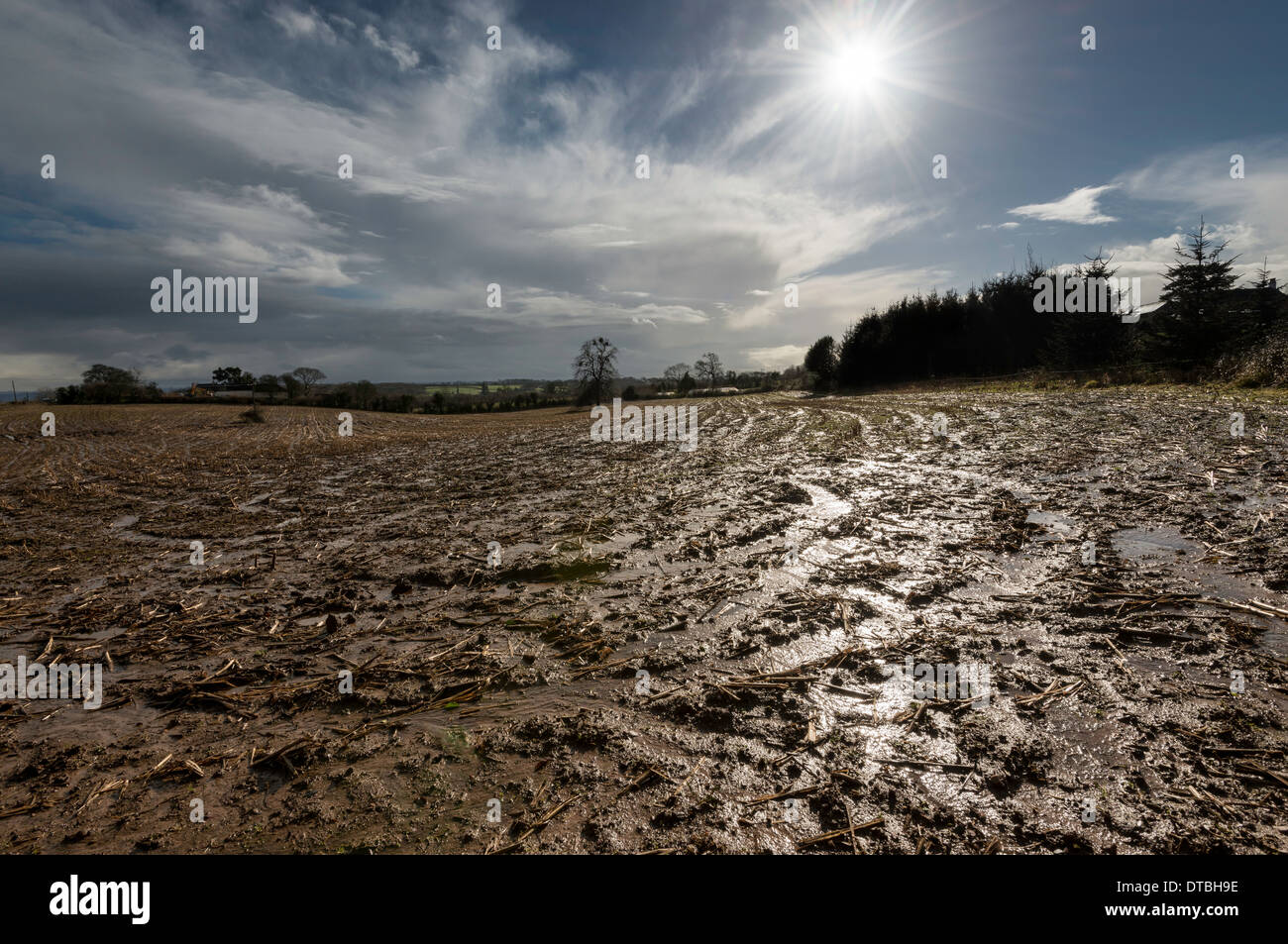 Saturated Field In Gloucestershire England February 2014 After Wettest