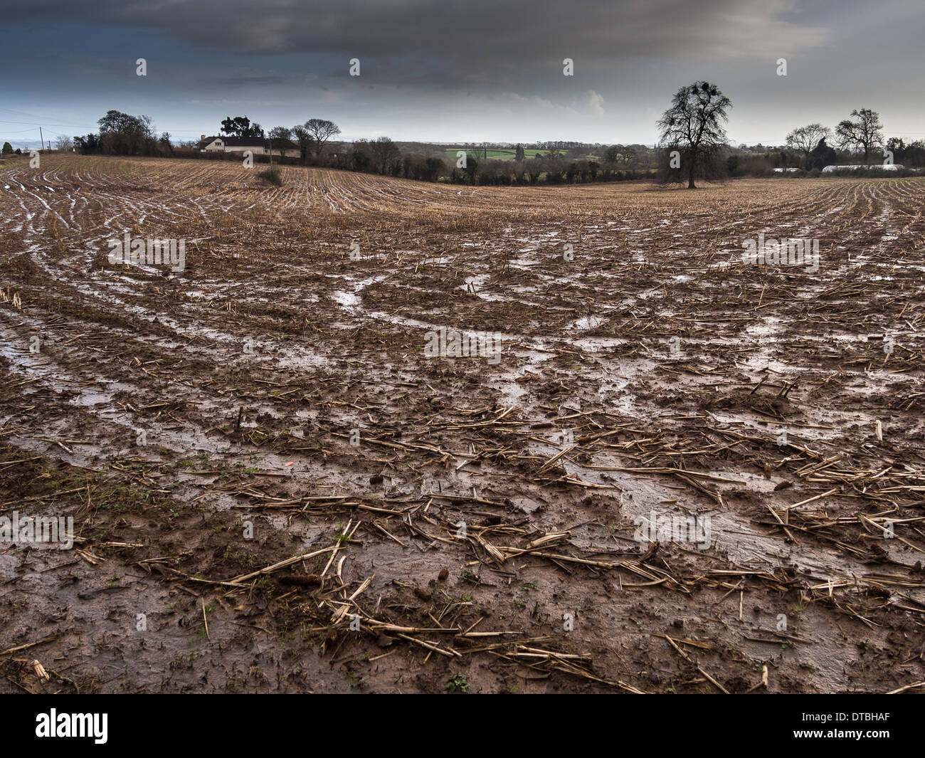Saturated Field In Gloucestershire England February 2014 After Wettest