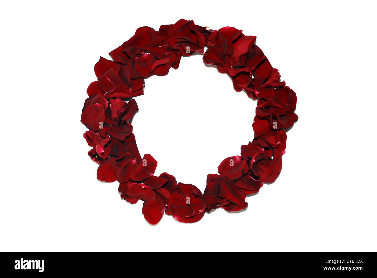 scattered rose's petals garland-shared isolated on white Stock Photo ...