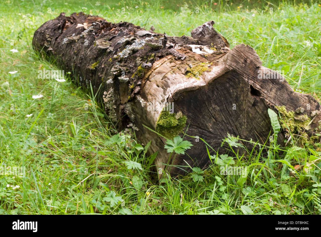 Moldering High Resolution Stock Photography and Images - Alamy