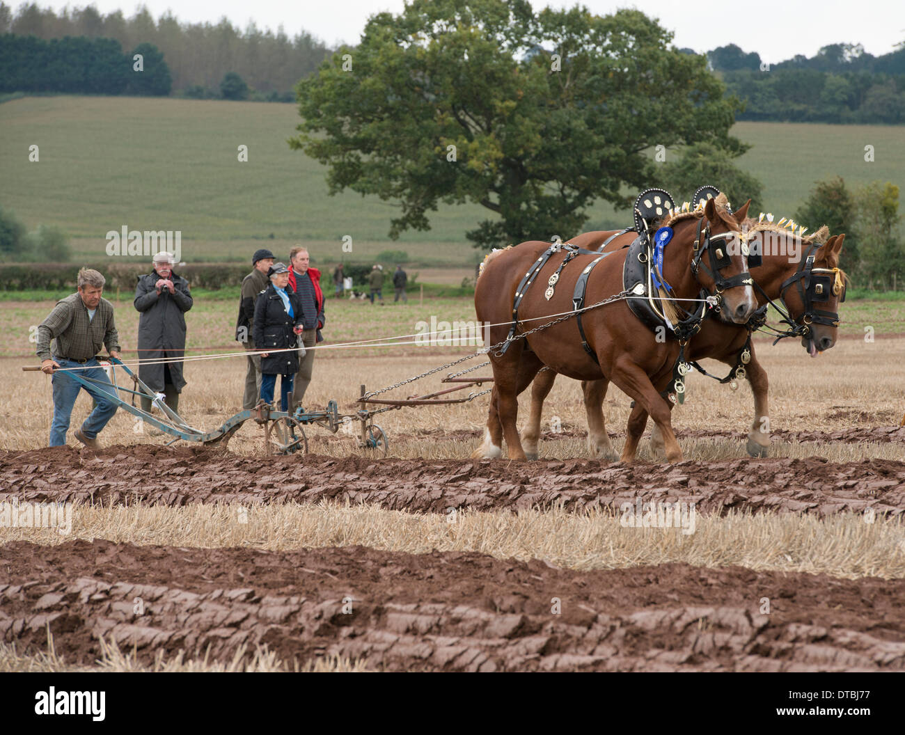 Hand ploughing hi-res stock photography and images - Alamy