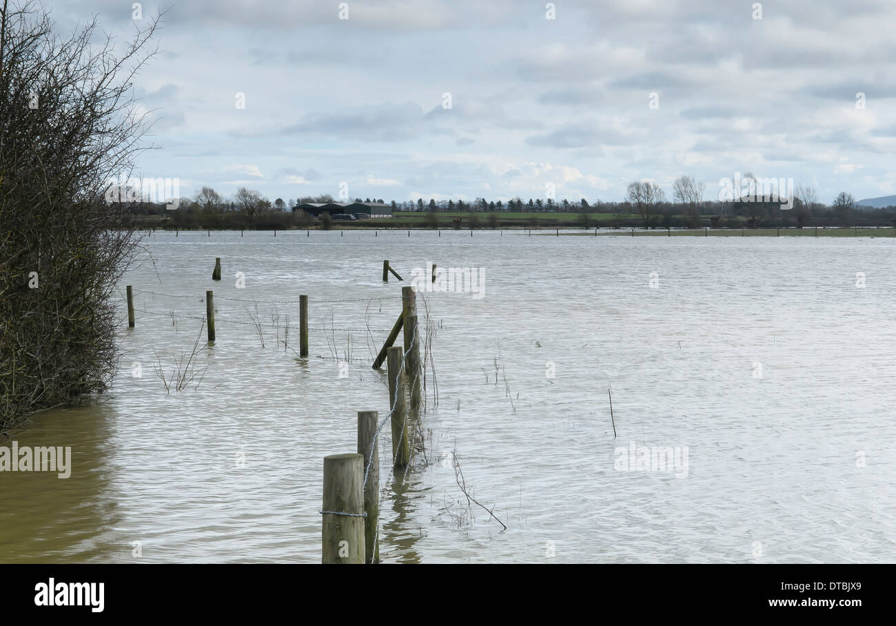 Flooded field fields with farmland and fences underwater trees ...