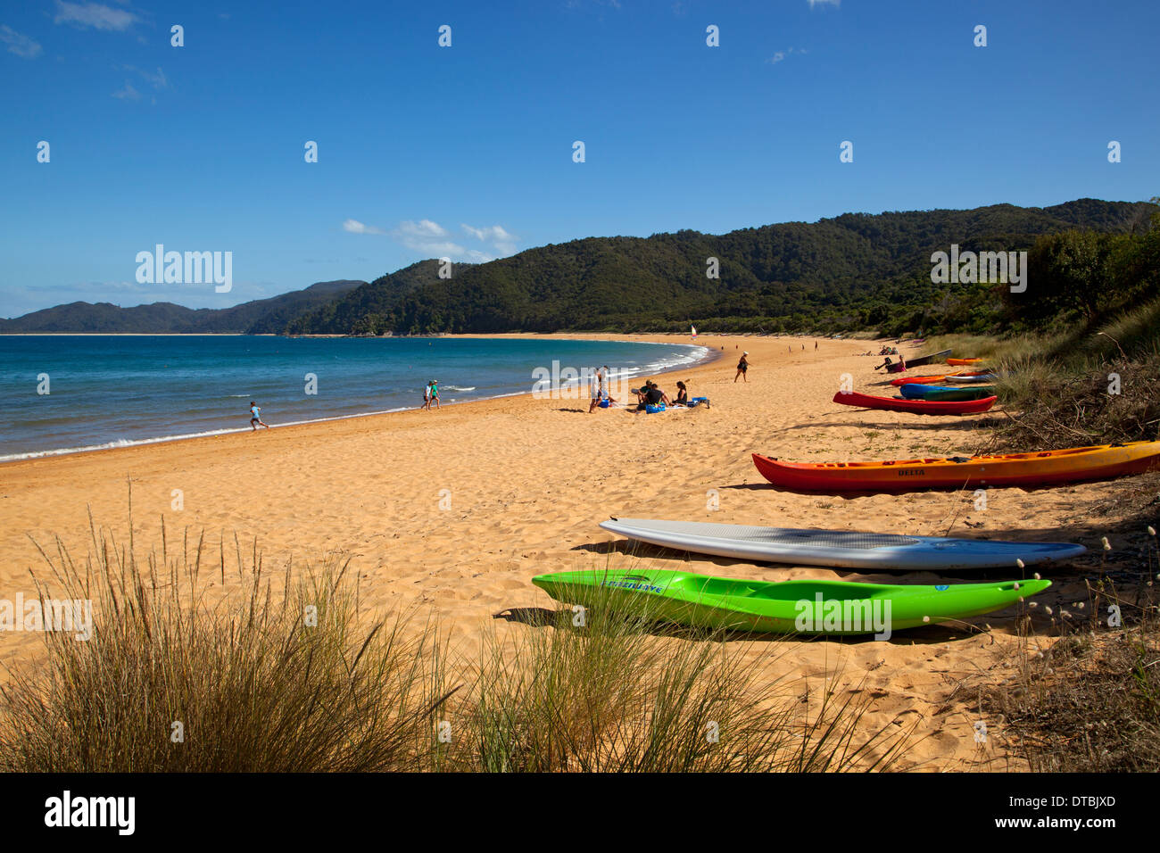 Totaranui beach, Abel Tasman national park, South island, New Zealand ...
