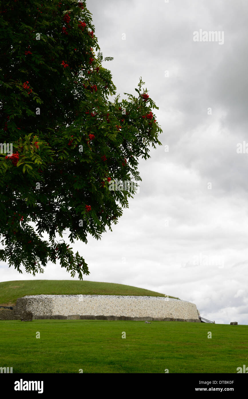 newgrange neolithic passage tomb complex ireland ash tree berry berries ...