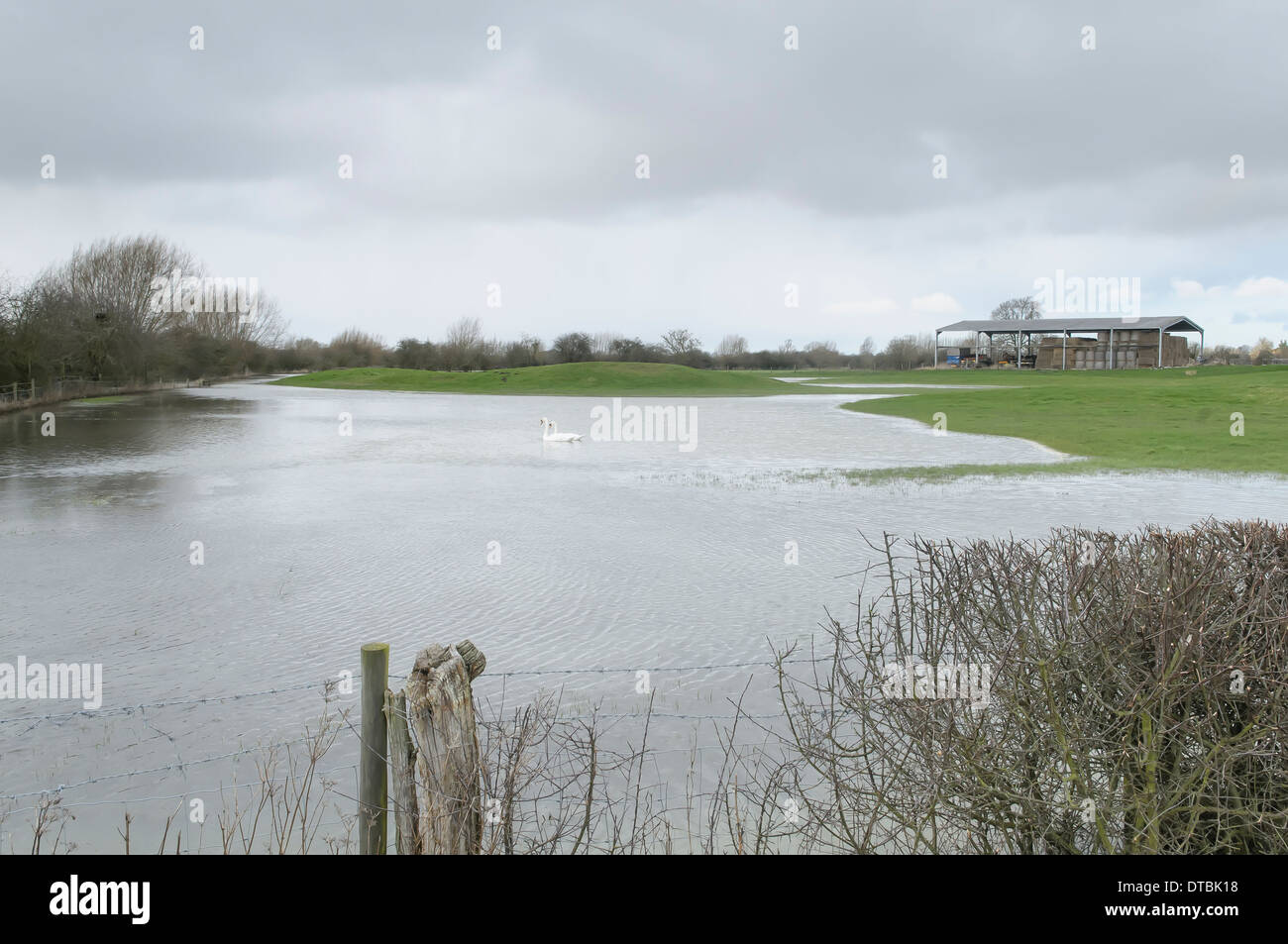 Flooded field with farmland and fences underwater trees waterlogged ...