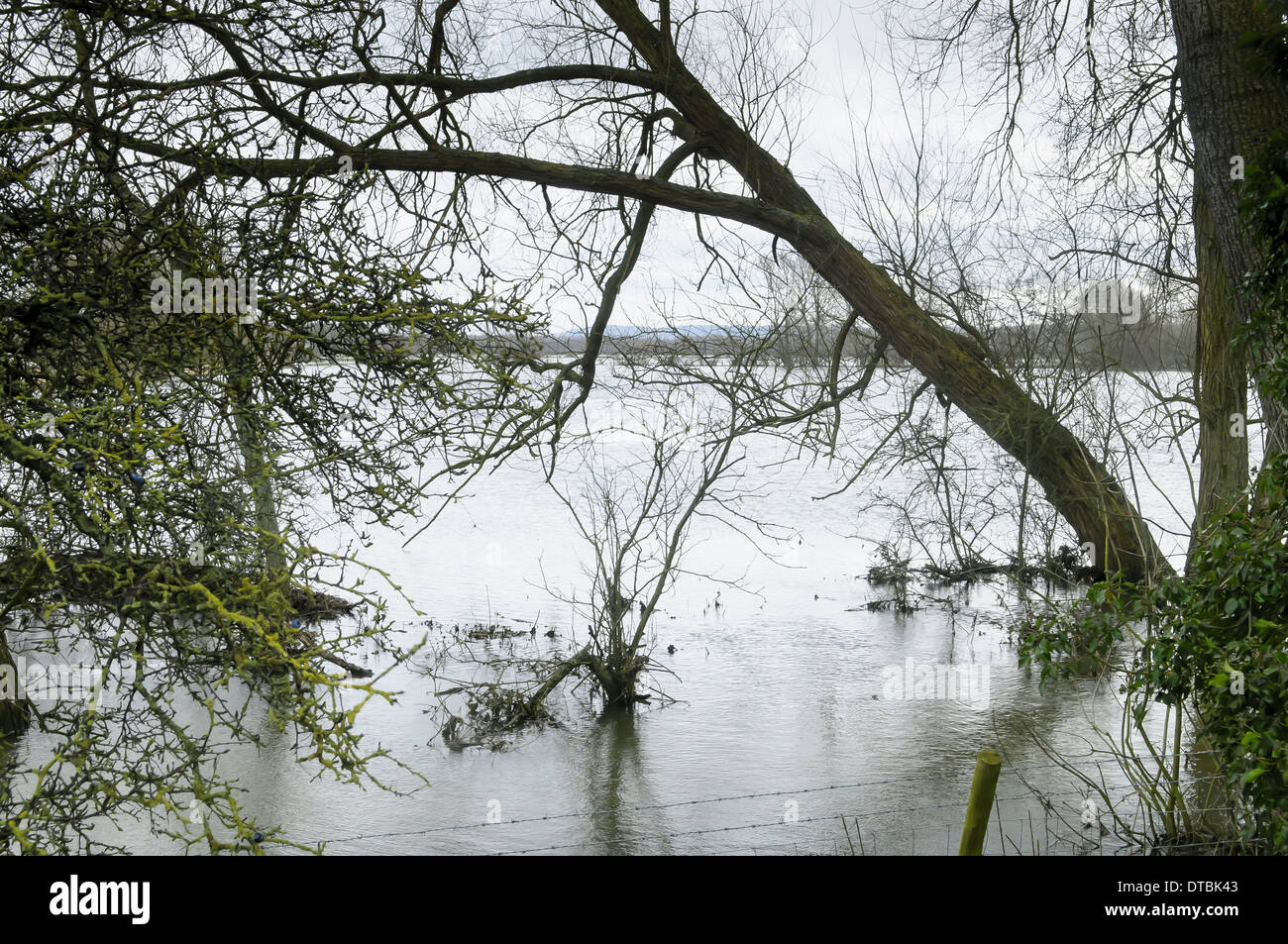 Flooded field with farmland and fences underwater trees waterlogged ...