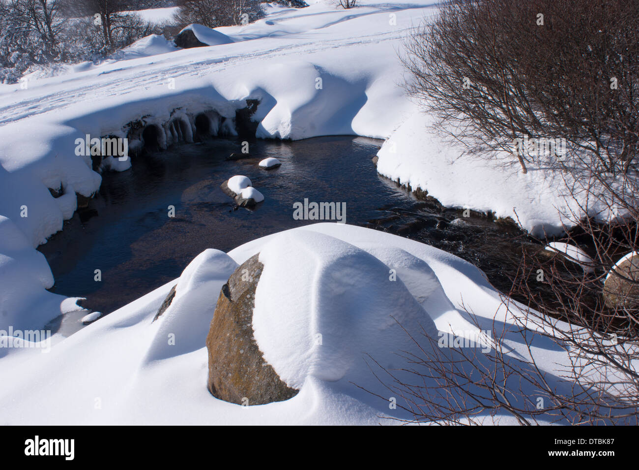 Forez france hi-res stock photography and images - Alamy