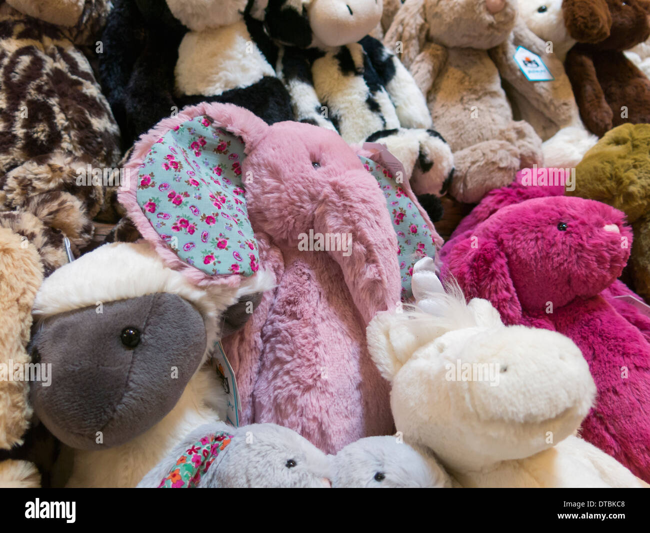 Soft animal hi-res stock photography and images - Alamy