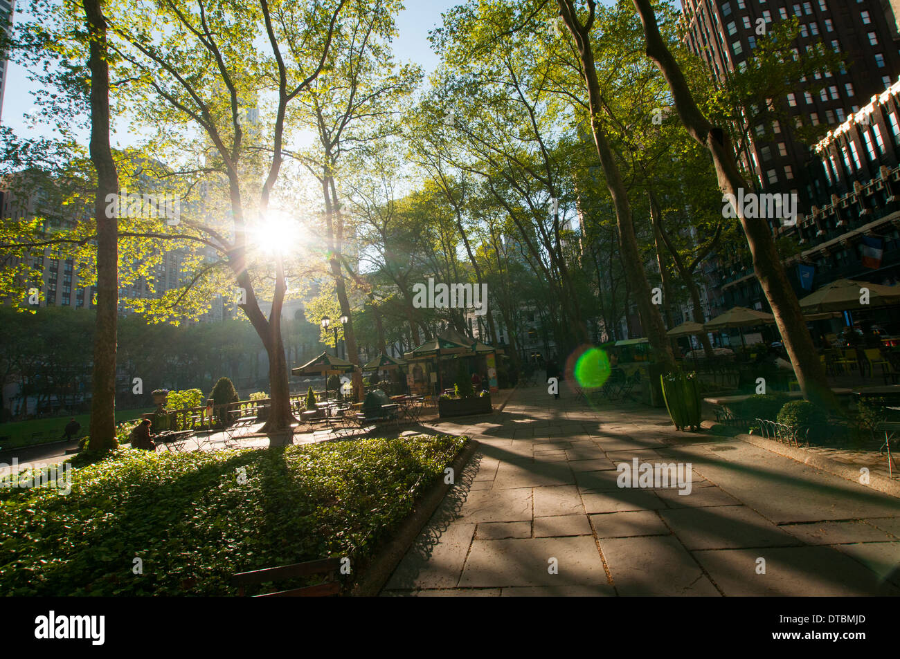 New york trees hi-res stock photography and images - Alamy