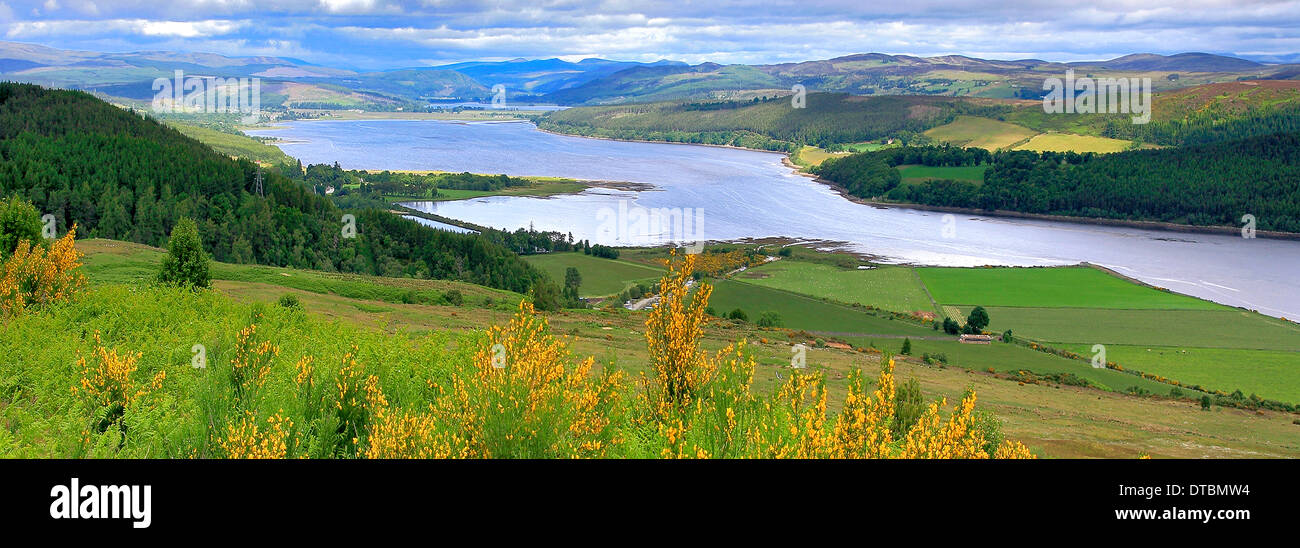 Landscape Summer view over Dornoch Firth Struie Bonnar Bridge ...