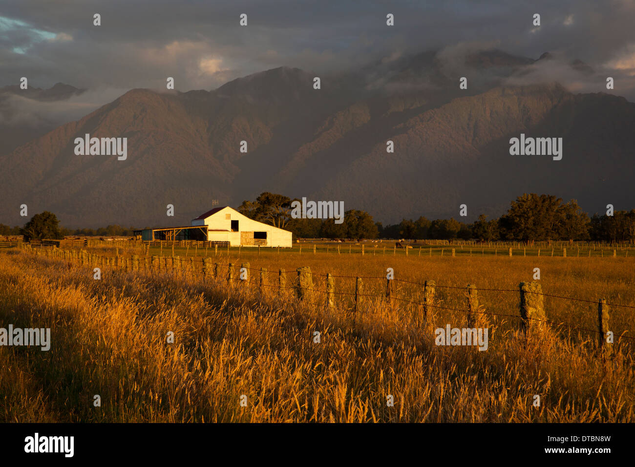 Sheep station hi-res stock photography and images - Alamy