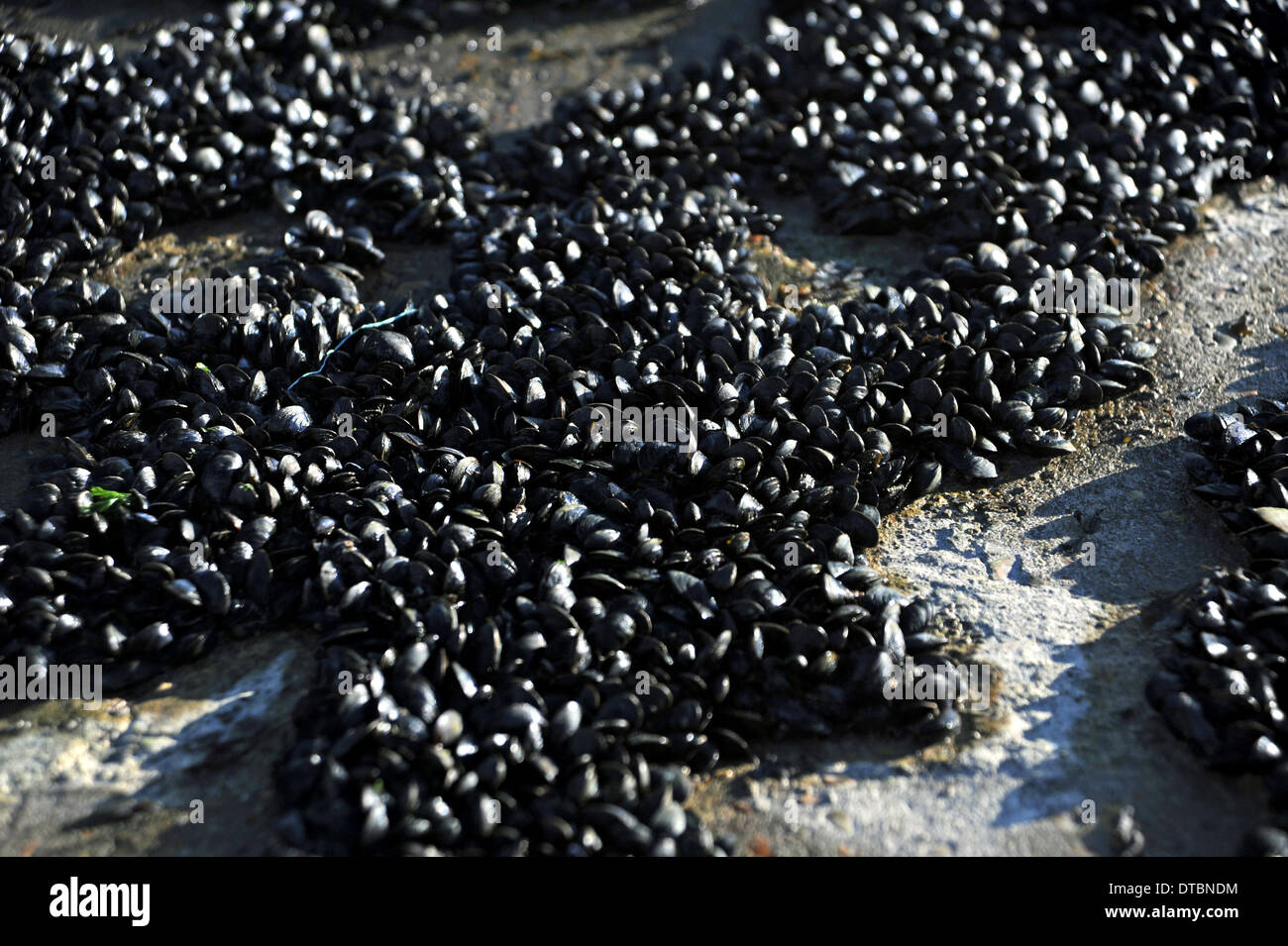 Outfall pipe hi-res stock photography and images - Alamy