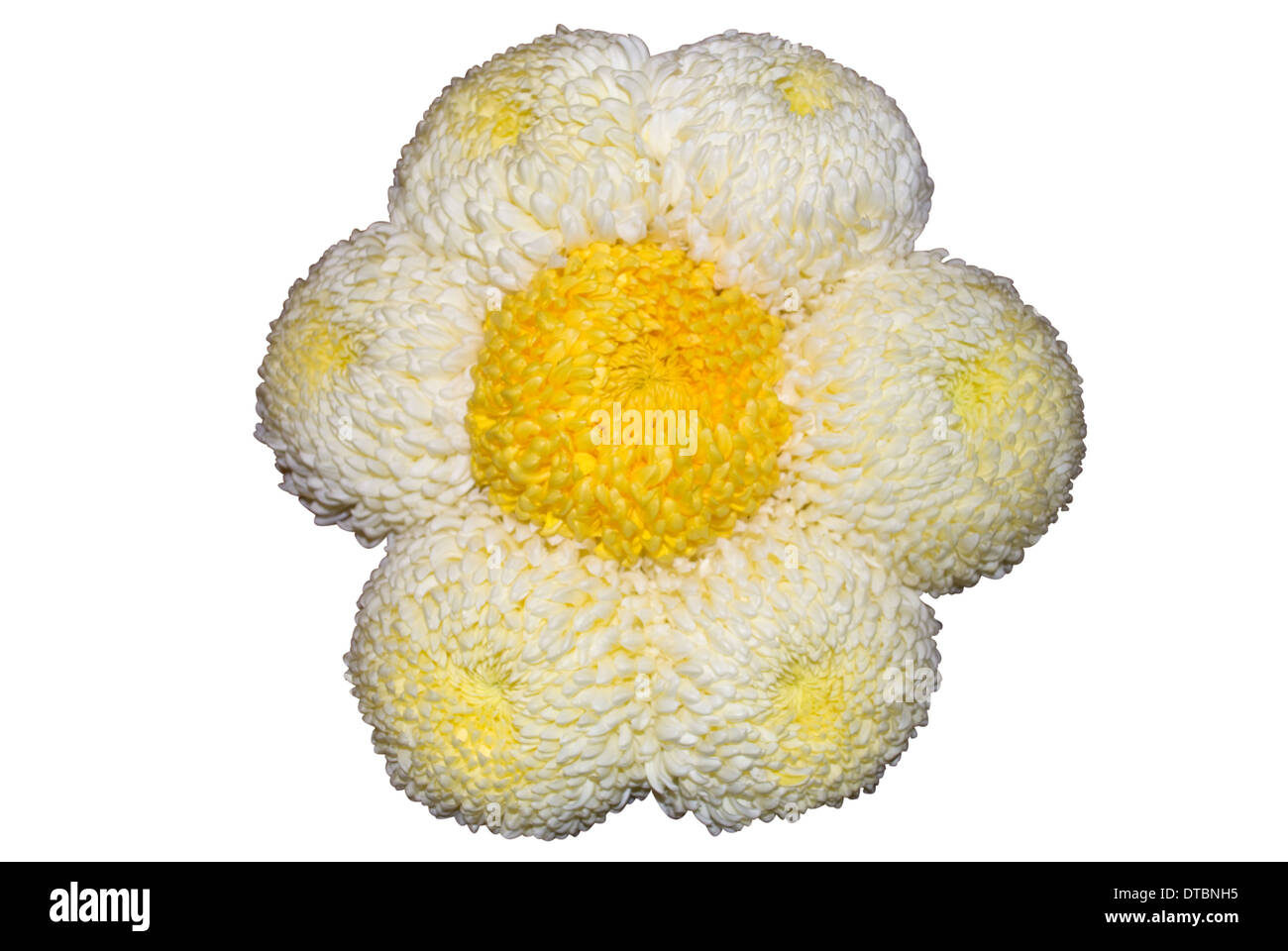 Hexagon from flowers with clipping path Stock Photo - Alamy