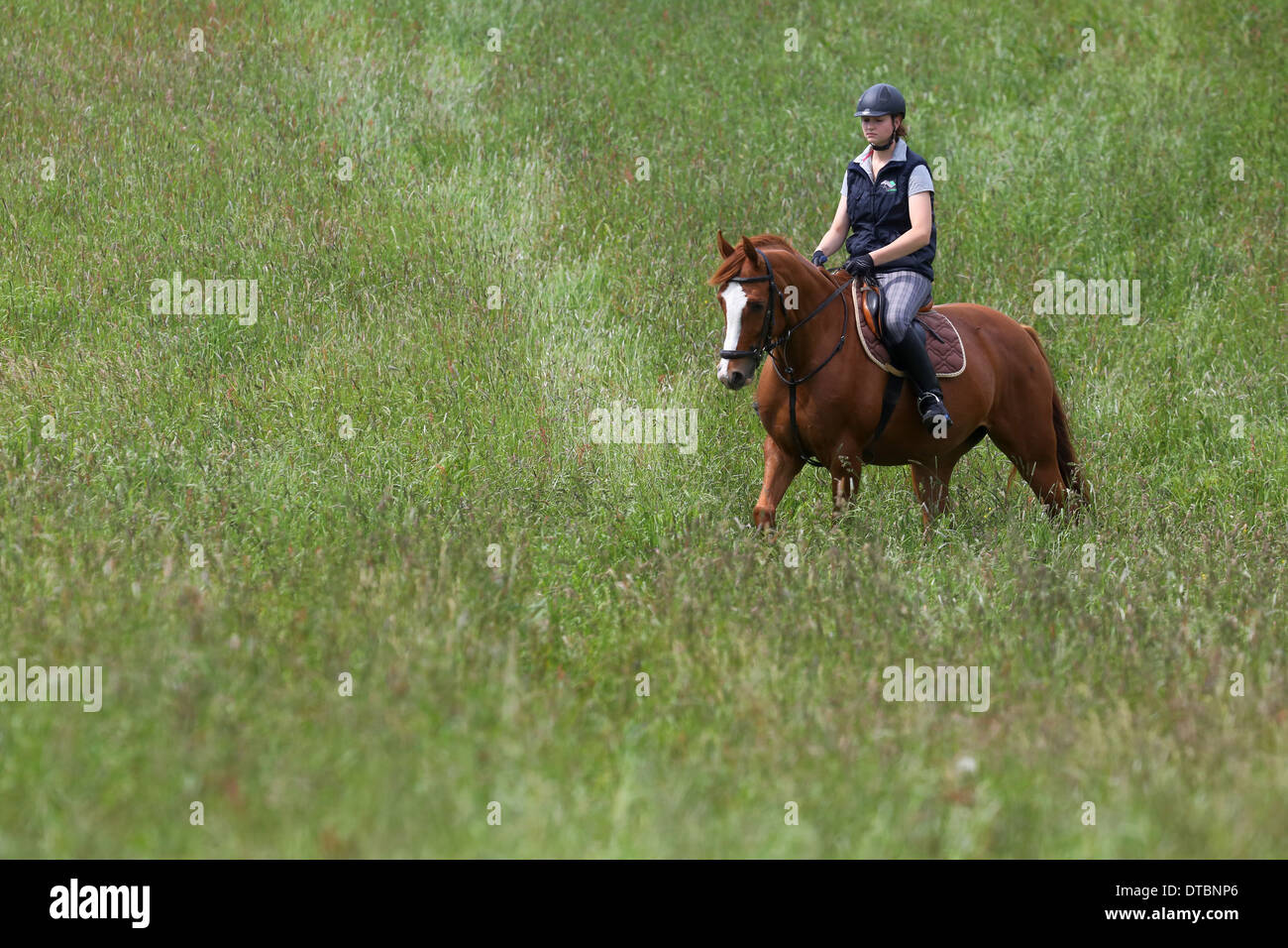Woman doing horse ride hi-res stock photography and images - Alamy