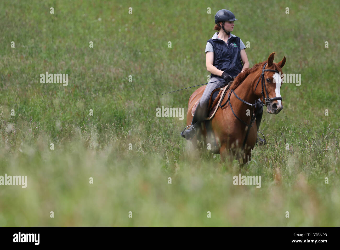 Hobby horse ride hi-res stock photography and images - Alamy
