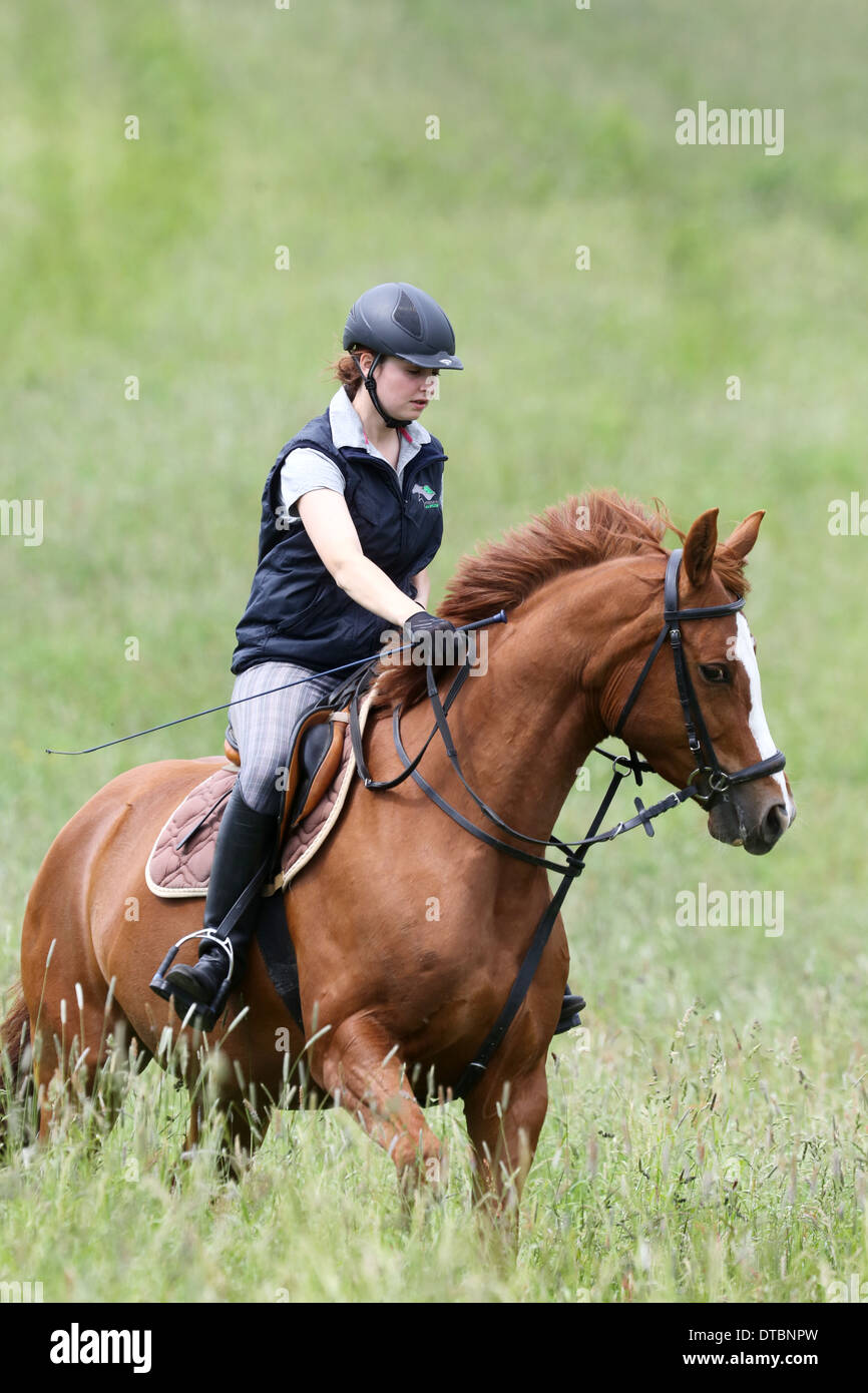 Woman doing a horse ride Stock Photo - Alamy