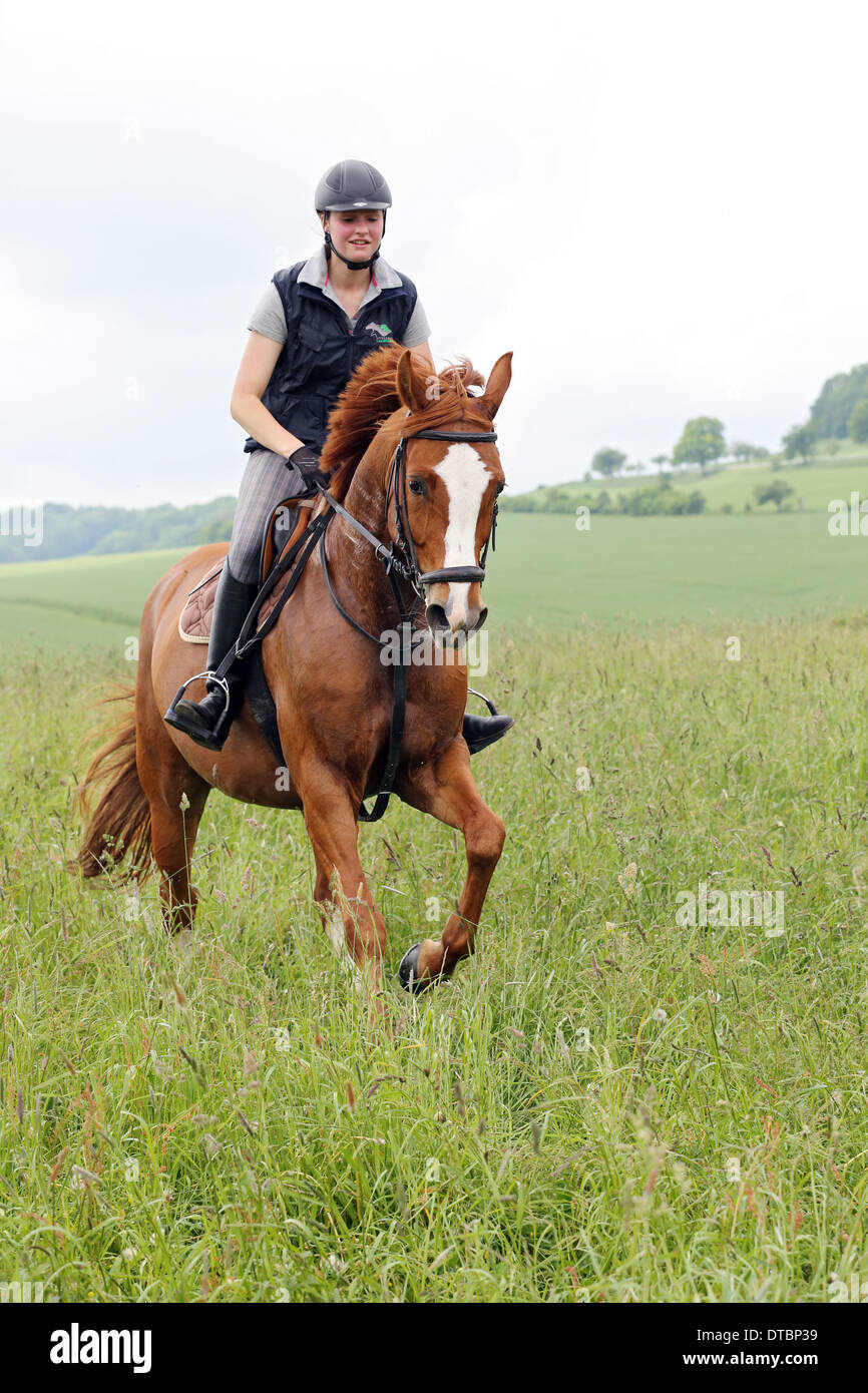Woman doing horse ride hi-res stock photography and images - Alamy