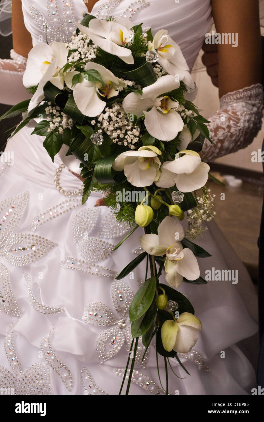 Blide hold the bouquet from orchids Stock Photo - Alamy