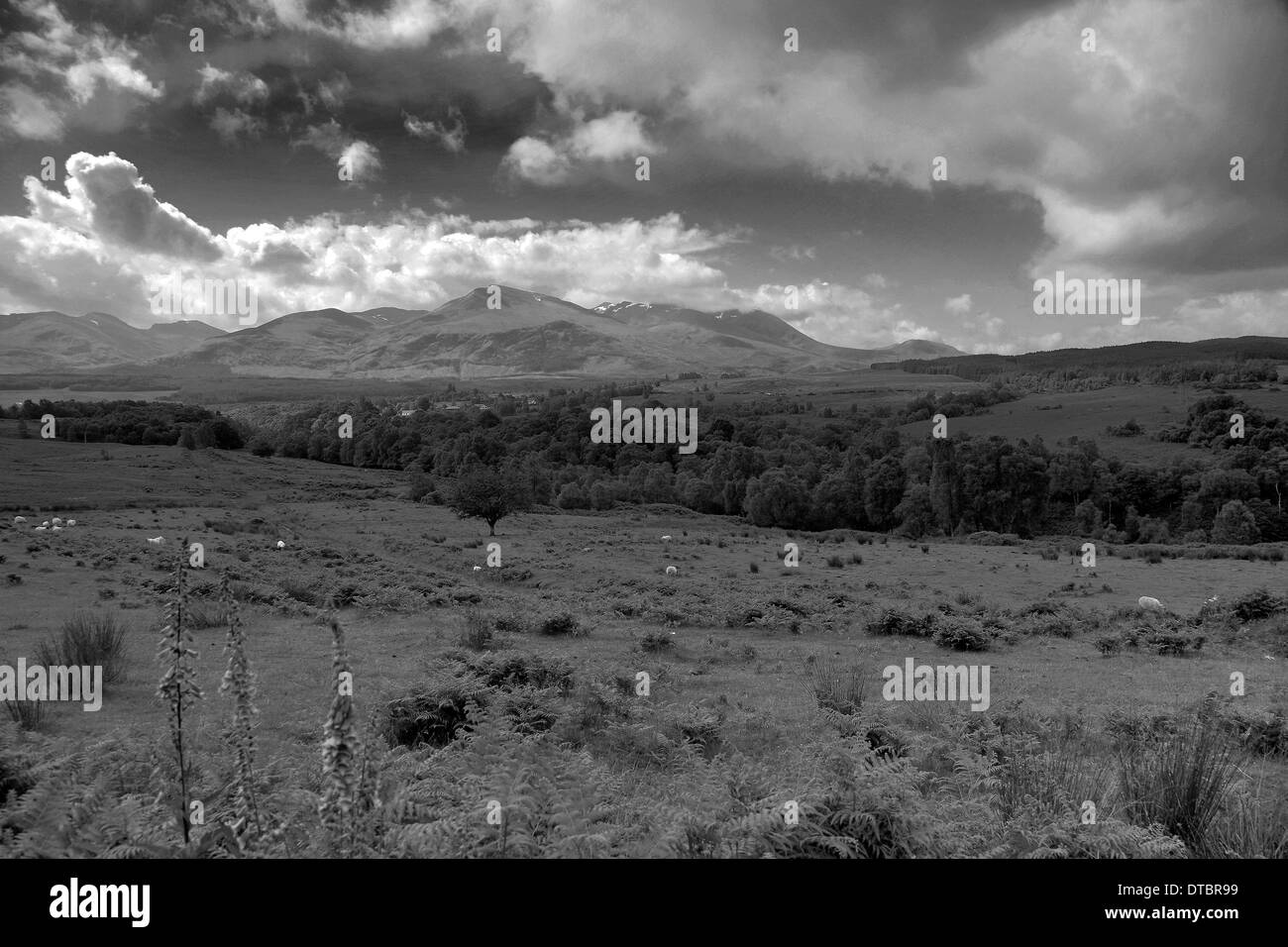 The Ben Nevis Mountain Range, Highlands of Scotland, Britain, UK Stock ...