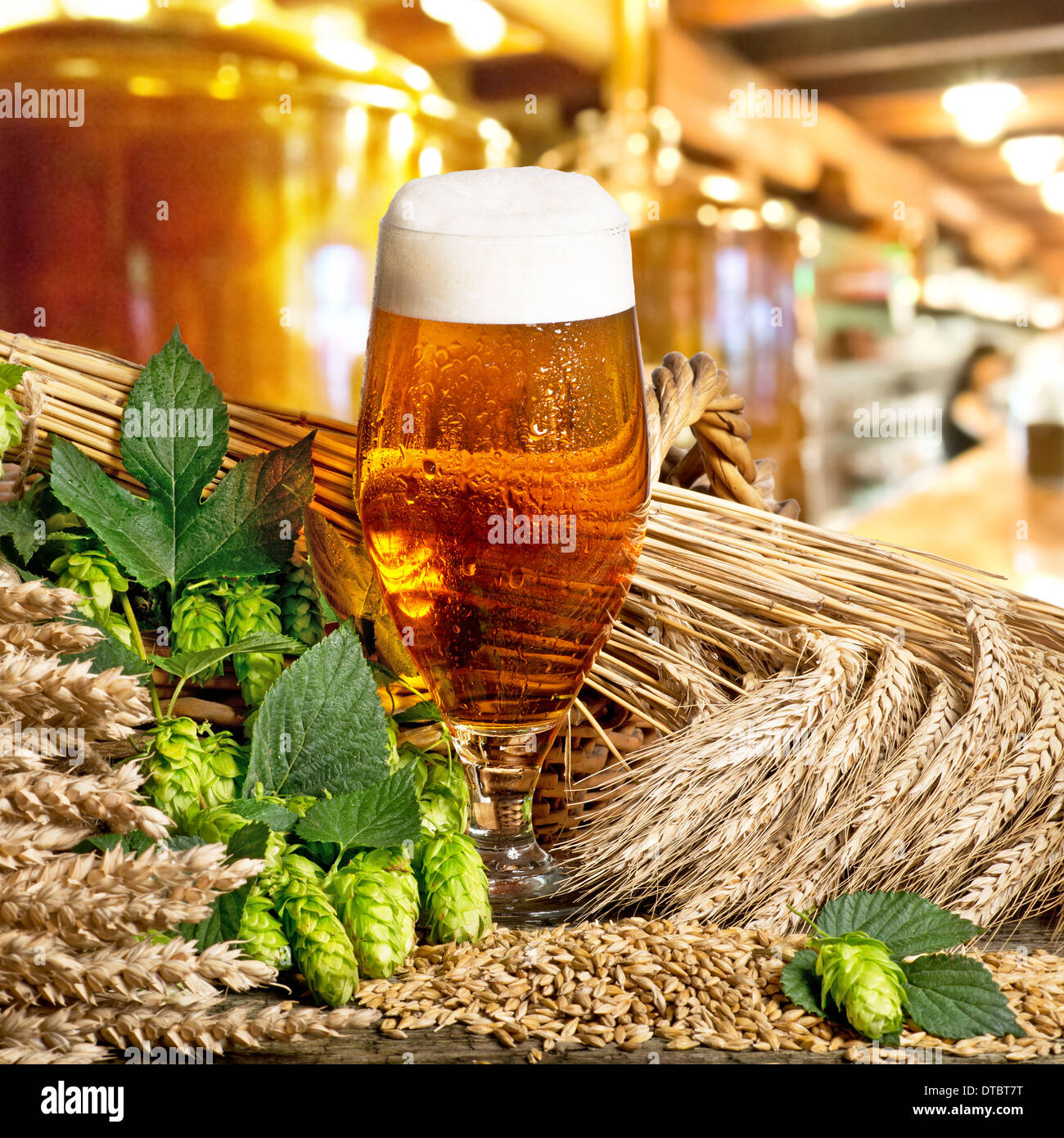 Hop plant beer hi-res stock photography and images - Alamy