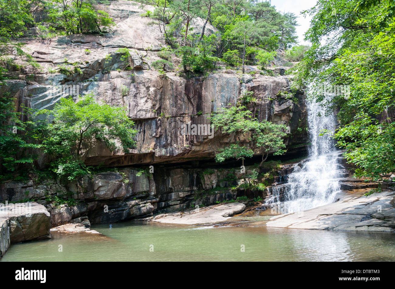 Jungle setting hi-res stock photography and images - Alamy