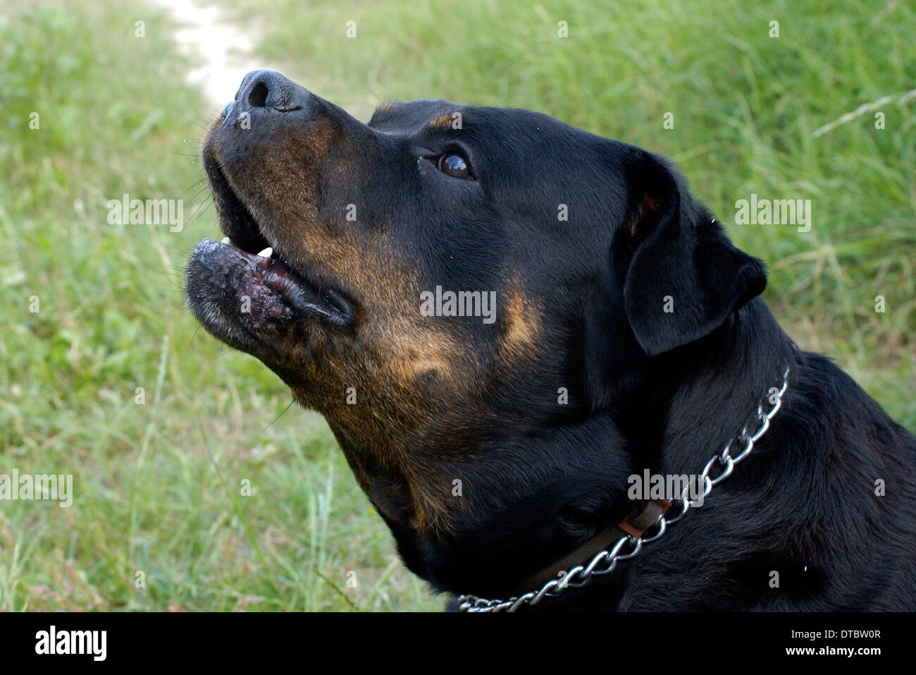 Fighting symbol hi-res stock photography and images - Alamy