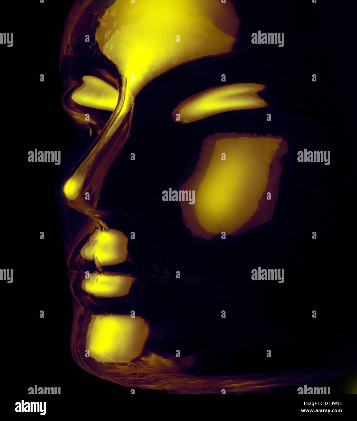 Evolution in human face shape hi-res stock photography and images - Alamy