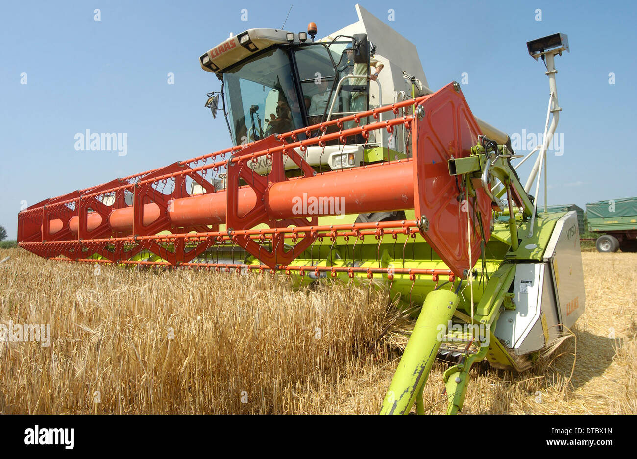 Grain management hi-res stock photography and images - Alamy