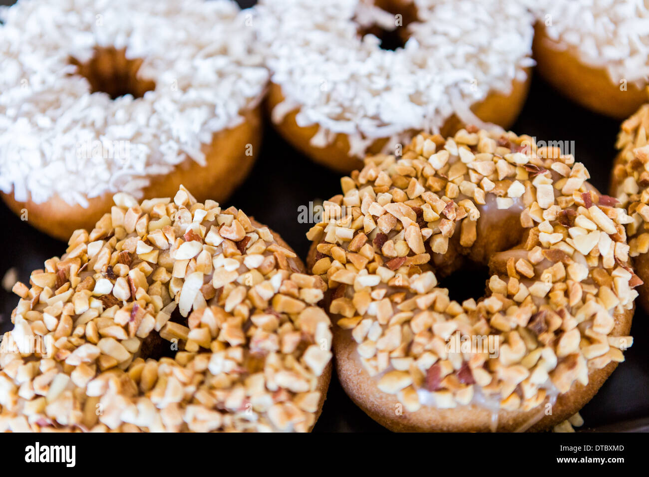 Row of fresh donuts from the local bakery shop Stock Photo - Alamy