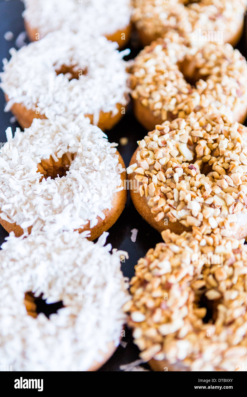 Row of fresh donuts from the local bakery shop Stock Photo - Alamy