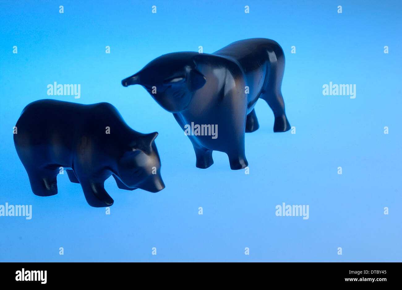 Baer horizontal hi-res stock photography and images - Alamy