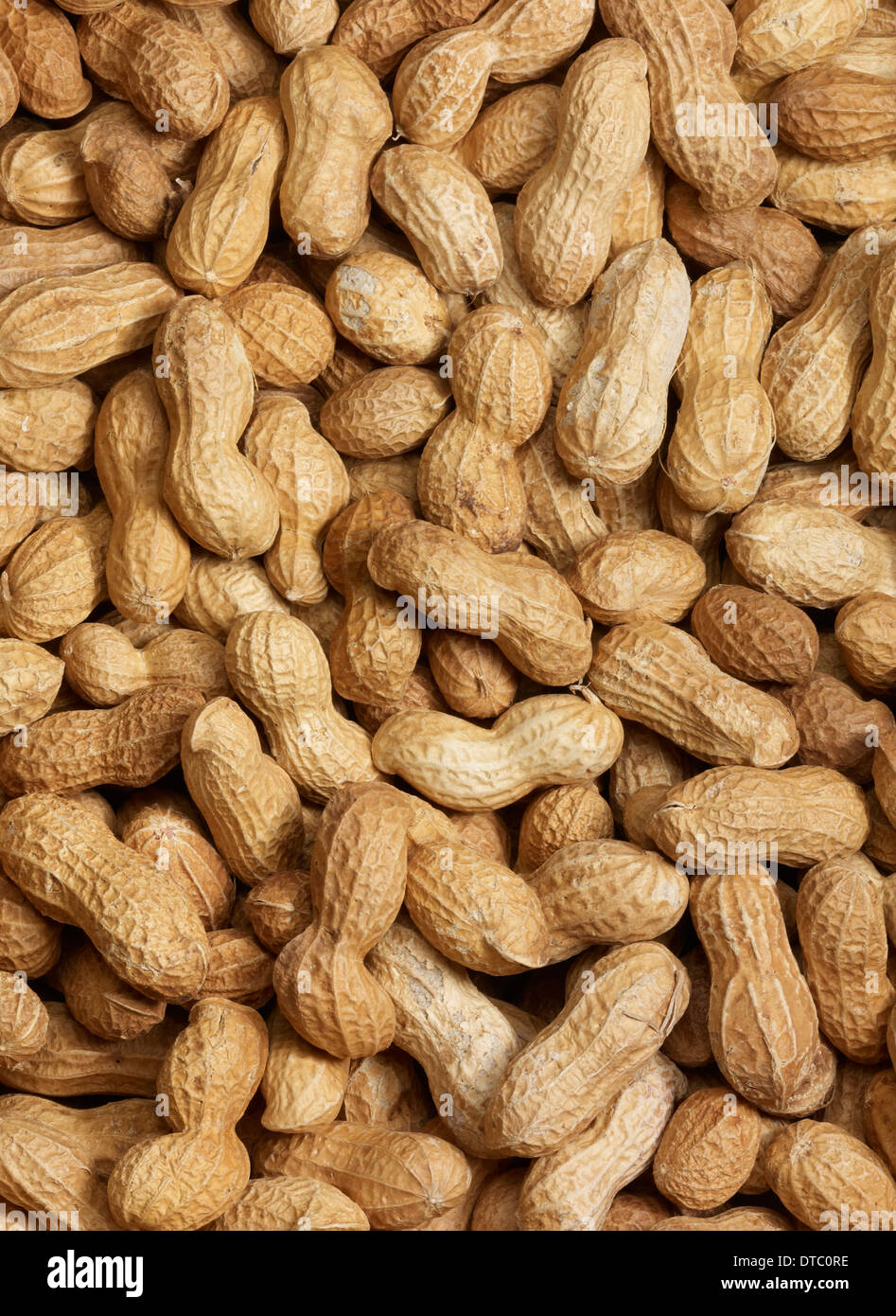 Peanut seed pod hi-res stock photography and images - Alamy