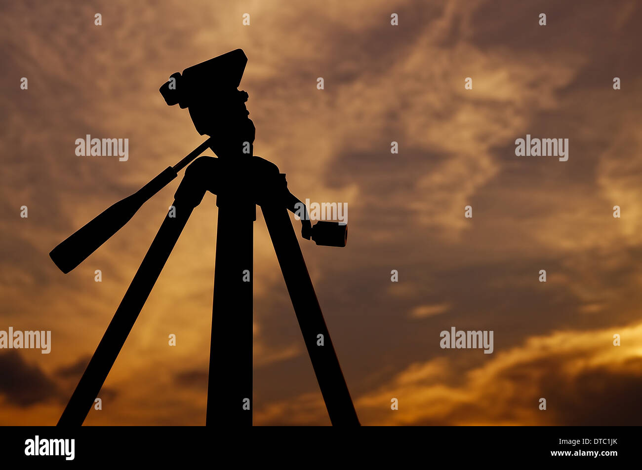 Photographers Best Friend Stock Photo - Alamy