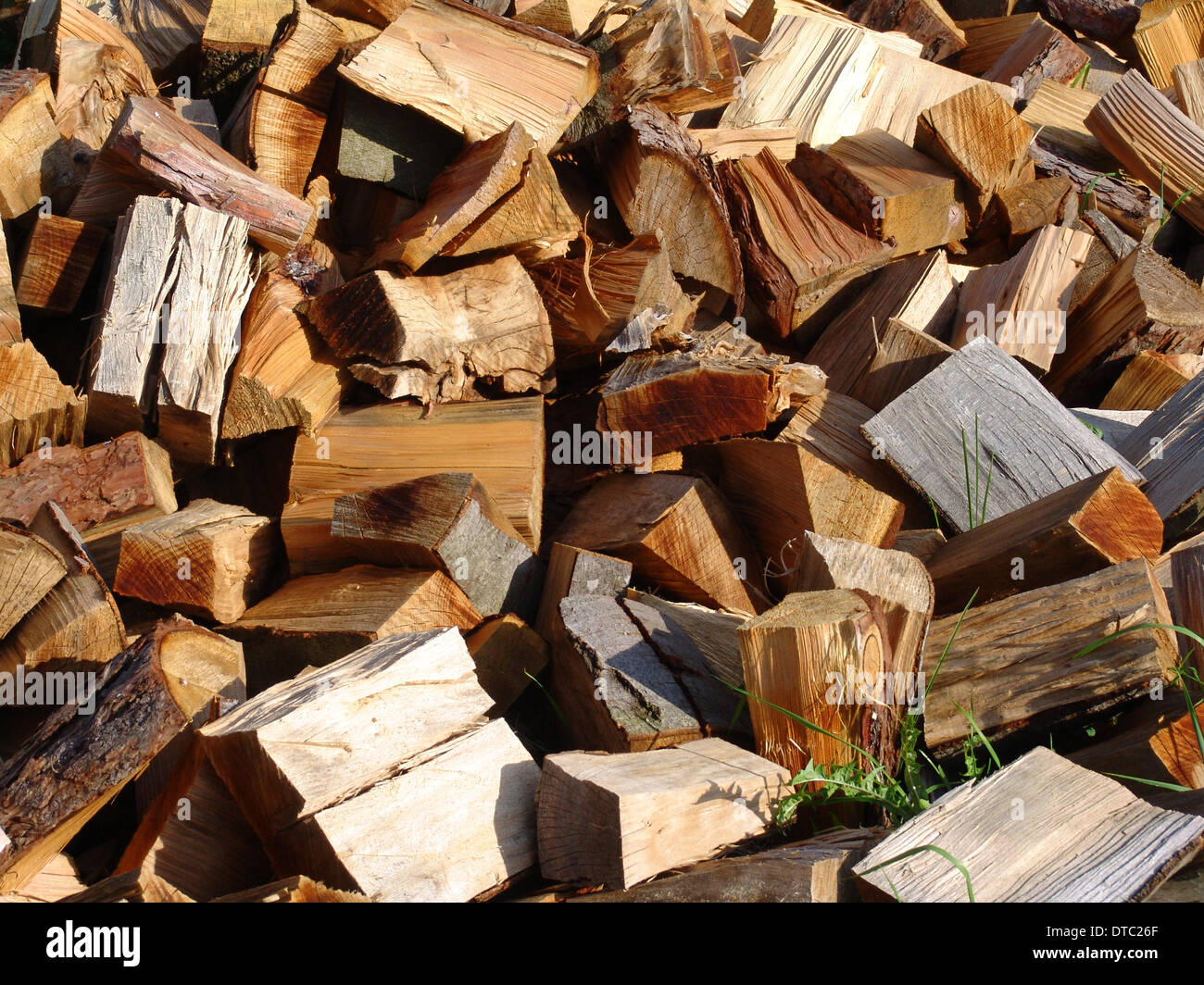 Timber fin hi-res stock photography and images - Alamy