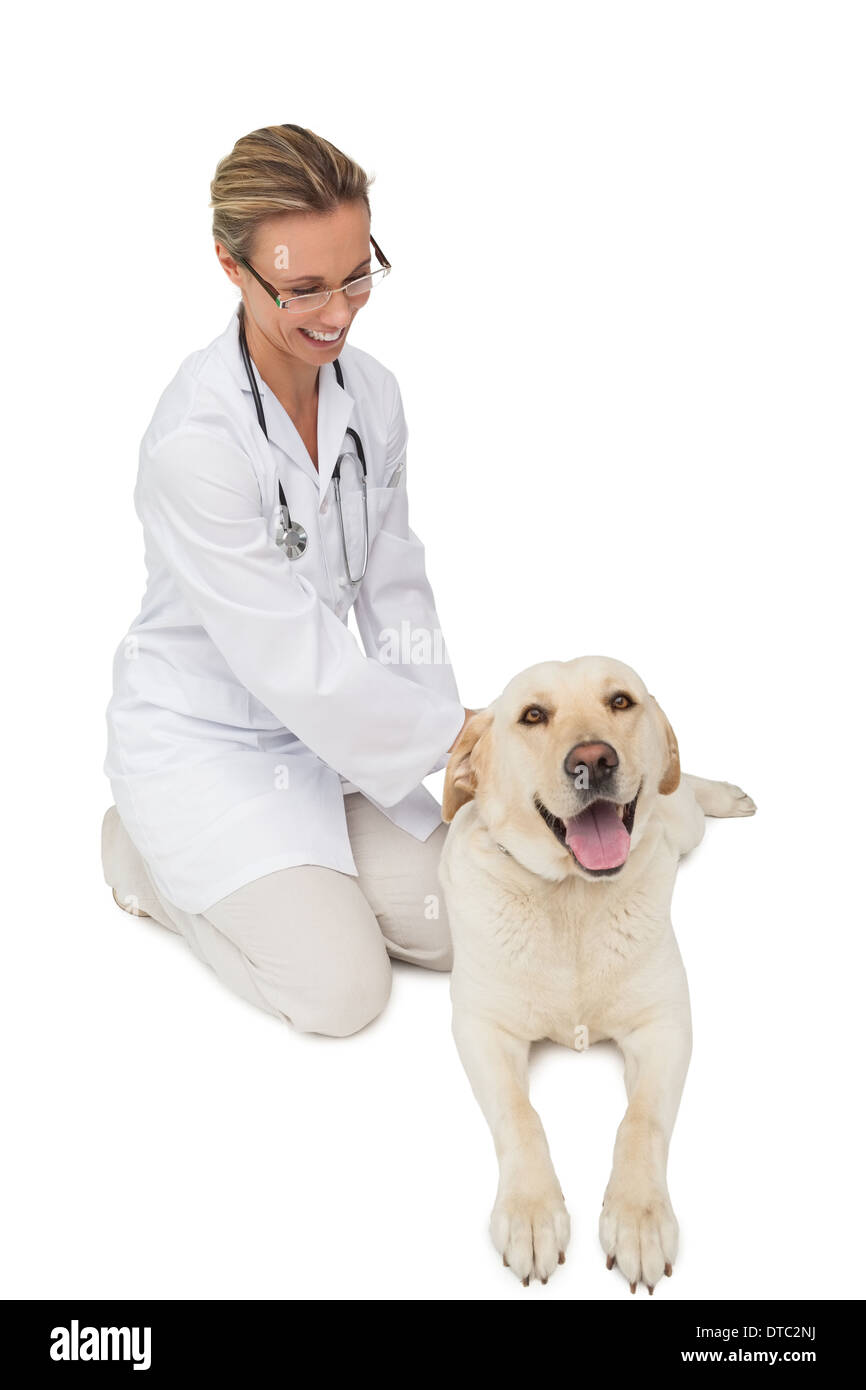Happy vet petting yellow labrador dog on white background Stock Photo ...
