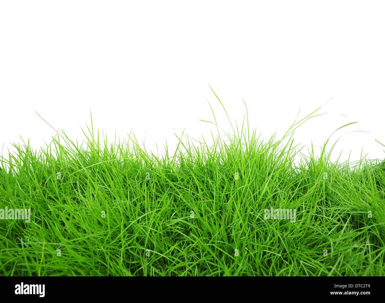 Grass lawn environment hi-res stock photography and images - Alamy