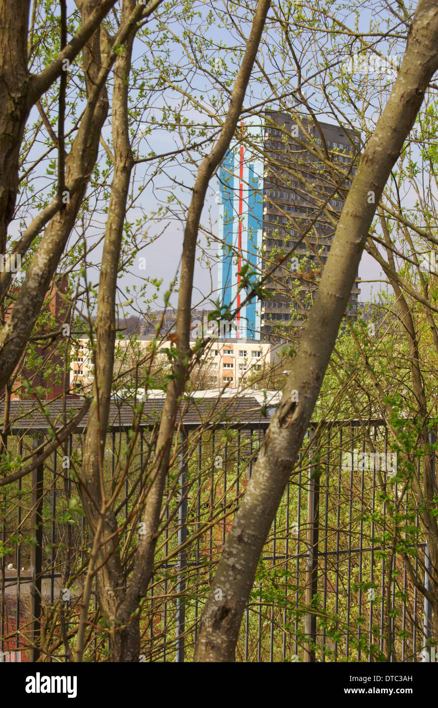 Trees in glasgow hi-res stock photography and images - Alamy