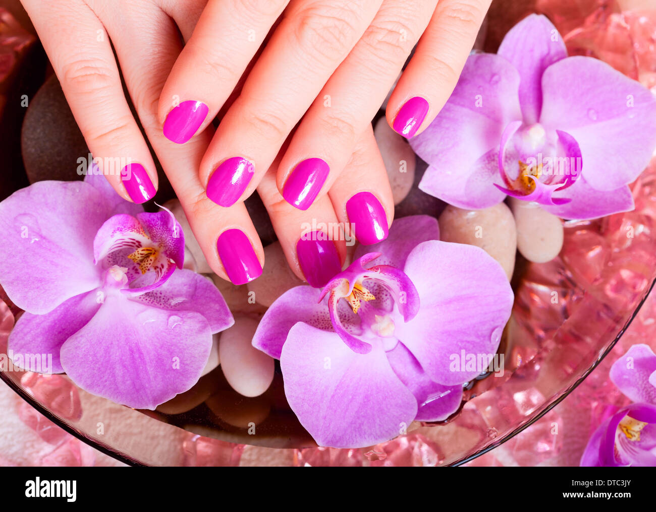 Soft female feet pedicure flowers hi-res stock photography and images ...