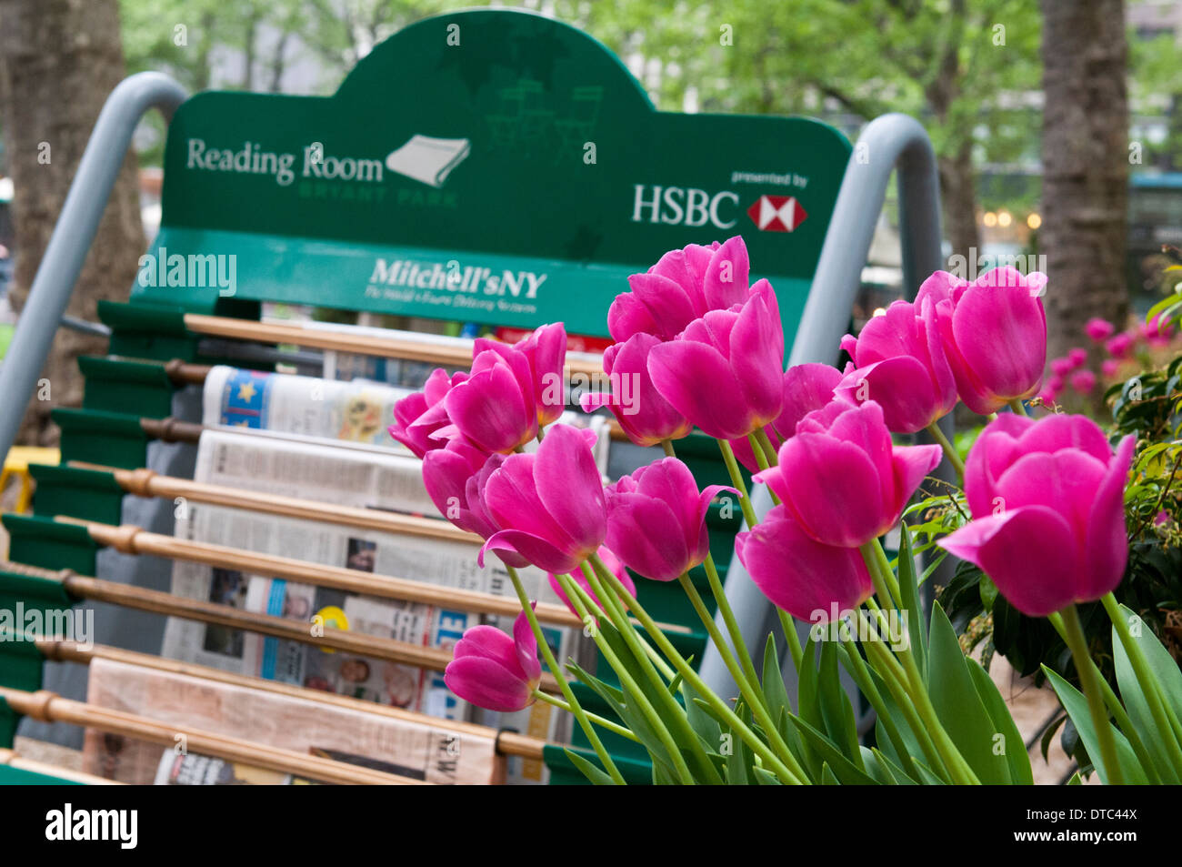 Bryant park reading room hi-res stock photography and images - Alamy