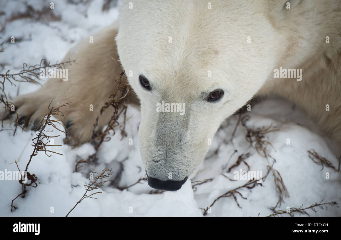 Close up looking down large hi-res stock photography and images - Alamy